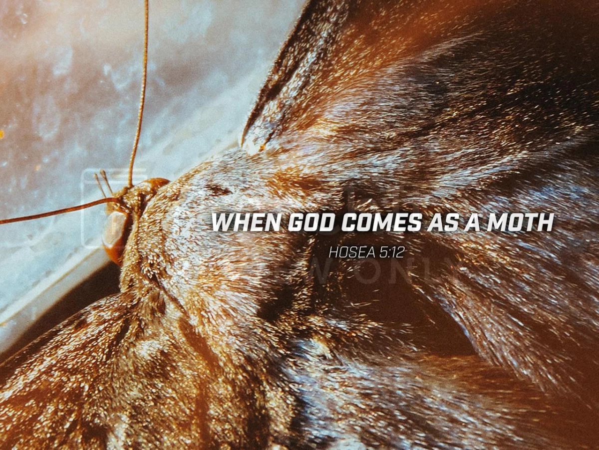 When God Comes As A Moth | Sermon Outlines | PreachIt